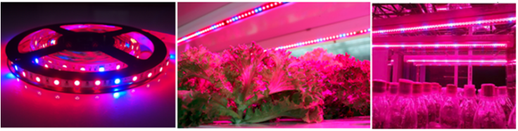 Kweek / Groei led-strips - led-strip.nl